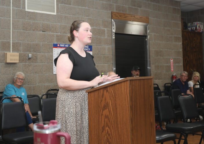 Wells to hold Strategic Plan meeting | News, Sports, Jobs - Faribault ...